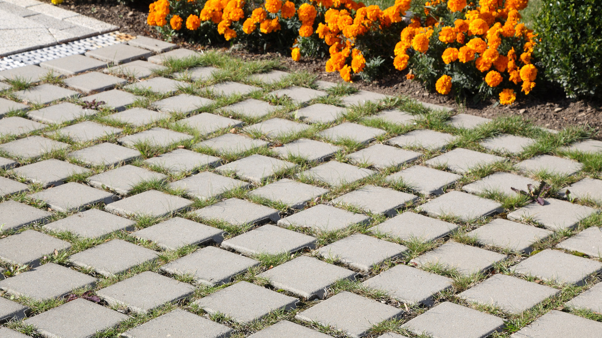 Golf Plus Rasenfuge | Pflastersteine | Lithonplus