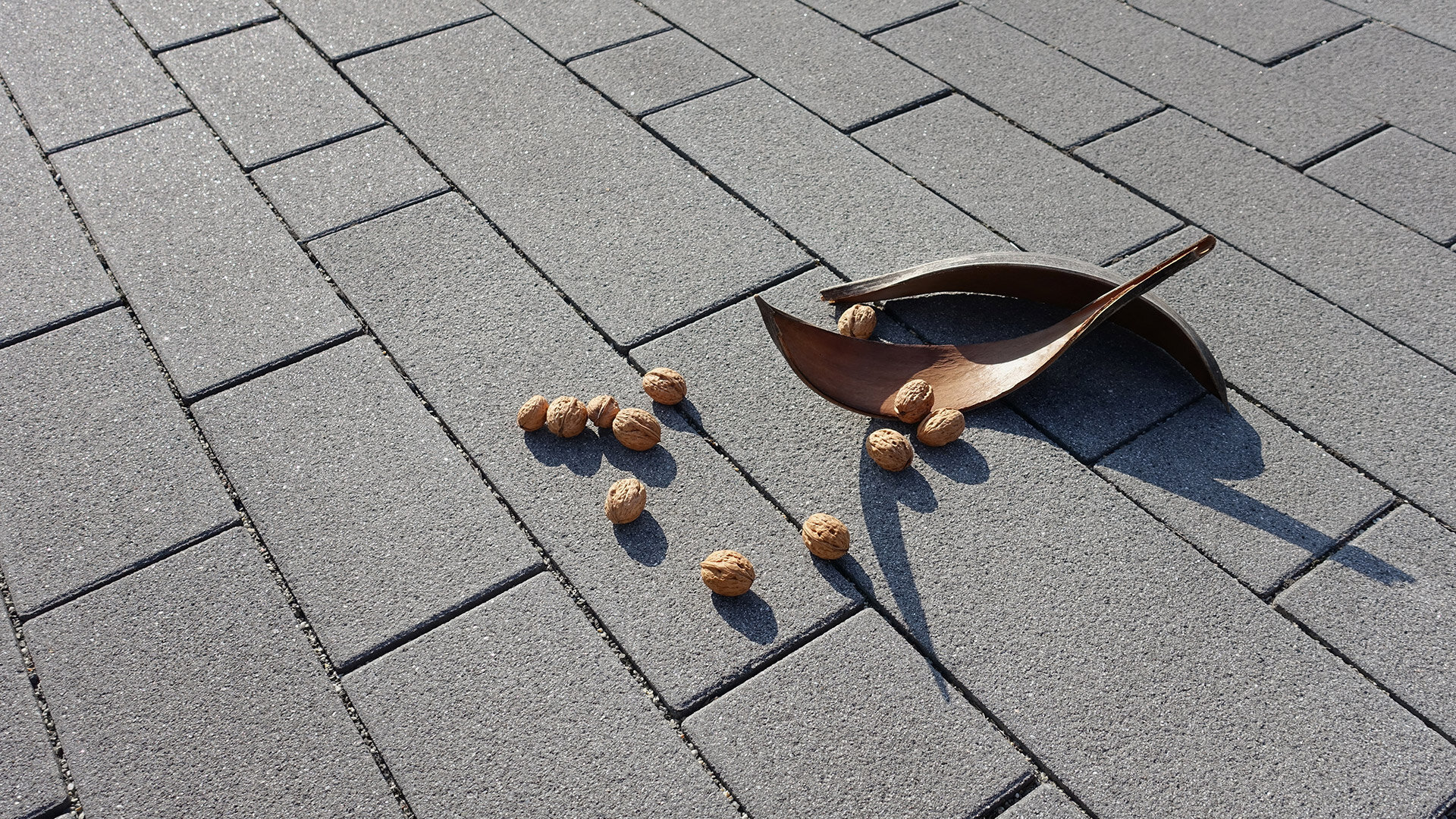 Vista Selection | Pflastersteine | Lithonplus