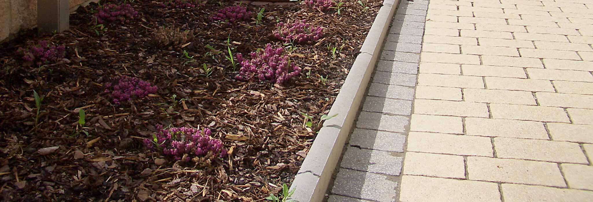 Rasenbordsteine | Randsteine | Lithonplus