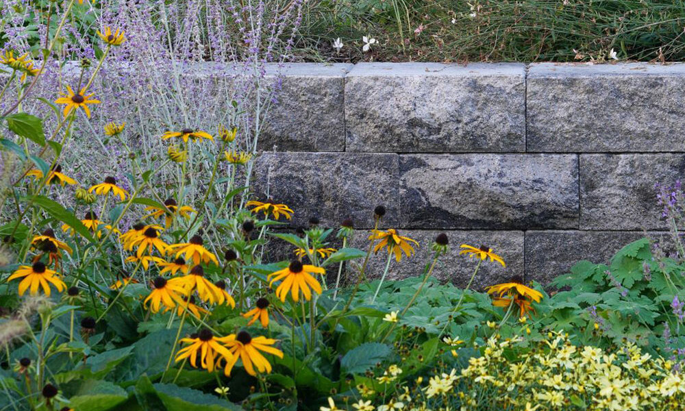 Lithon | Unternehmen | Lithonplus